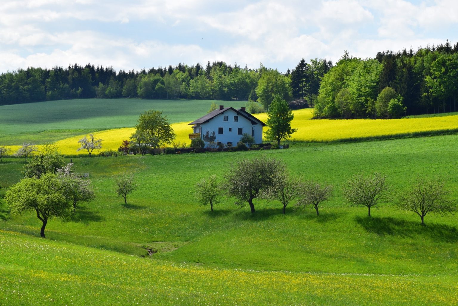 Ideas que fijan población rural en España – AlmaNatura Ideas que fijan población rural en España – AlmaNatura